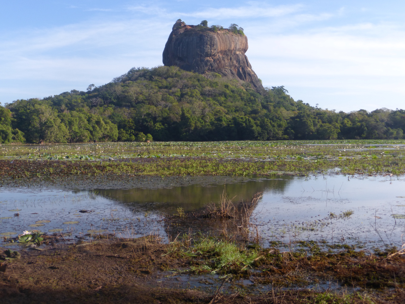 The story of Mangala – The Hungry Travellers
